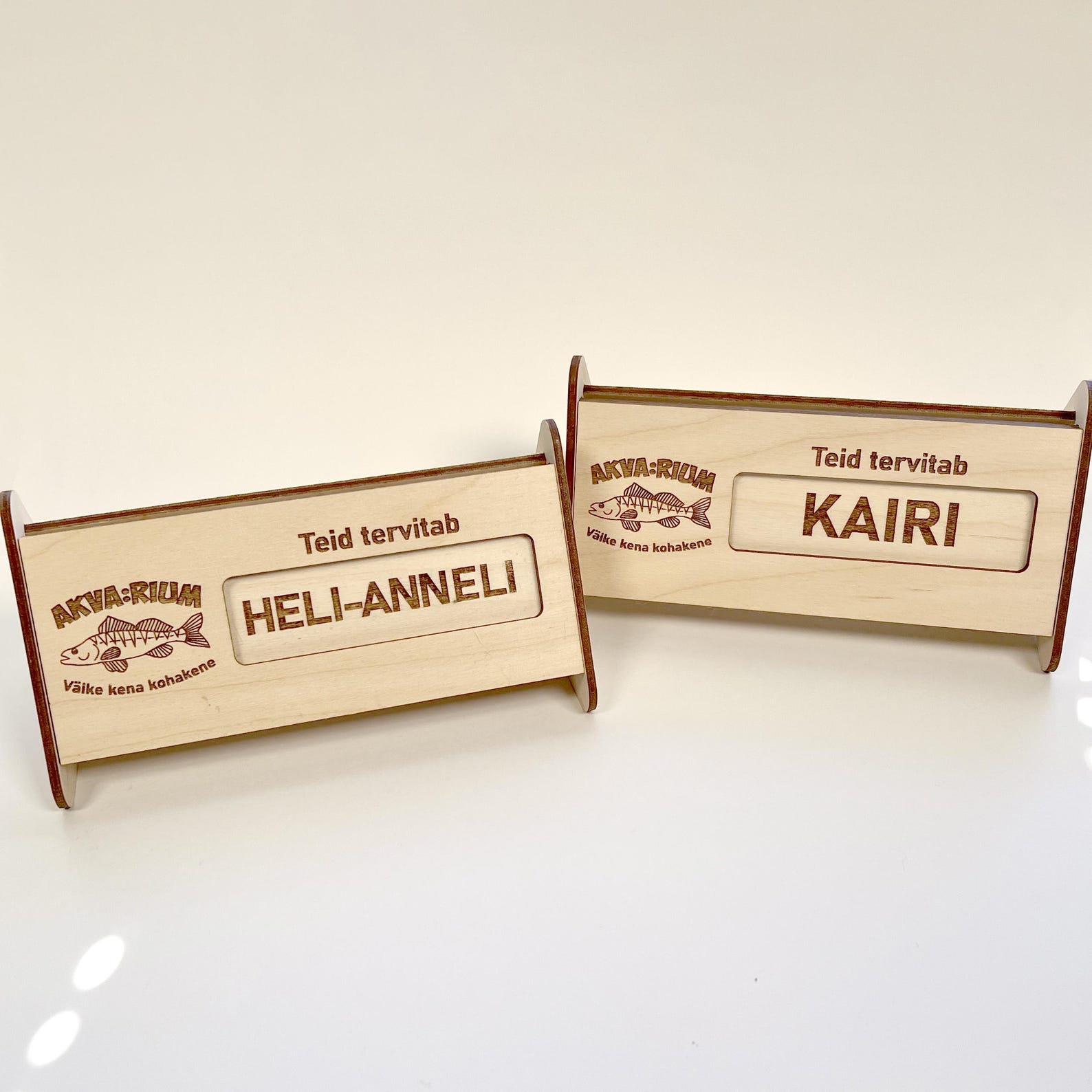 Changeable Name Table Plates - Etsy
