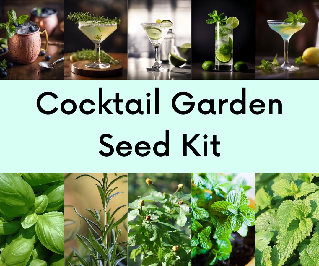 DIY Cocktail Herb Seed Kit: Mixology Garden Gift Set - Etsy