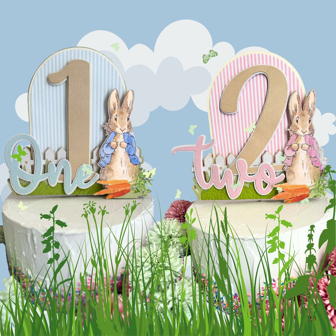 Petter Rabbit Cake Topper, Petter Rabbit Party, 1st Birthday Bunny ...