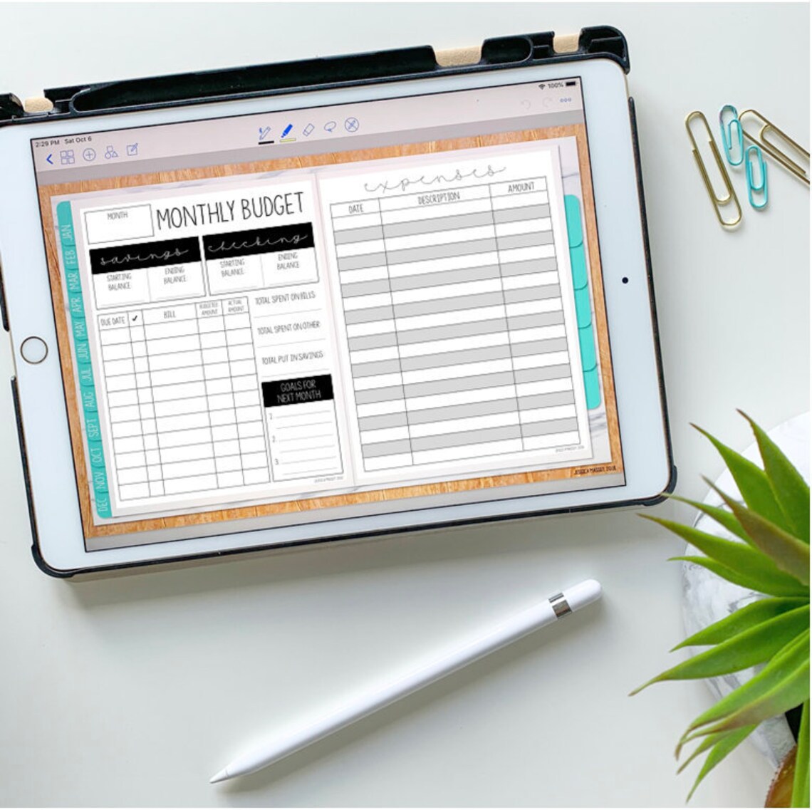 Budget Tracker Insert for Digital Planning - Etsy
