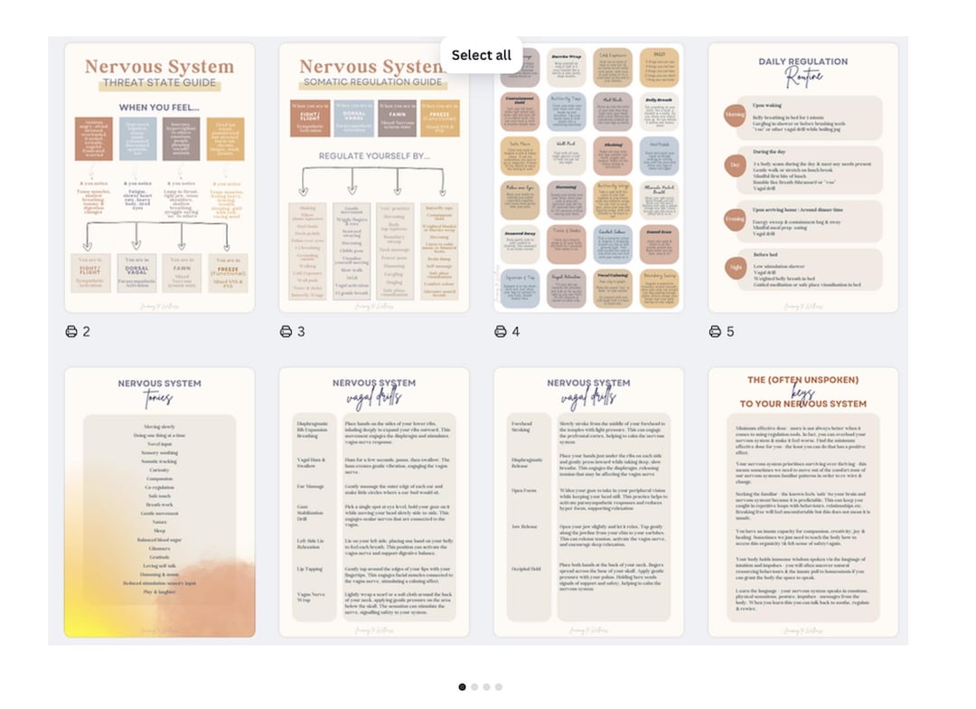Nervous System Guide - Meet & Complete Threat States - Therapy Resource ...