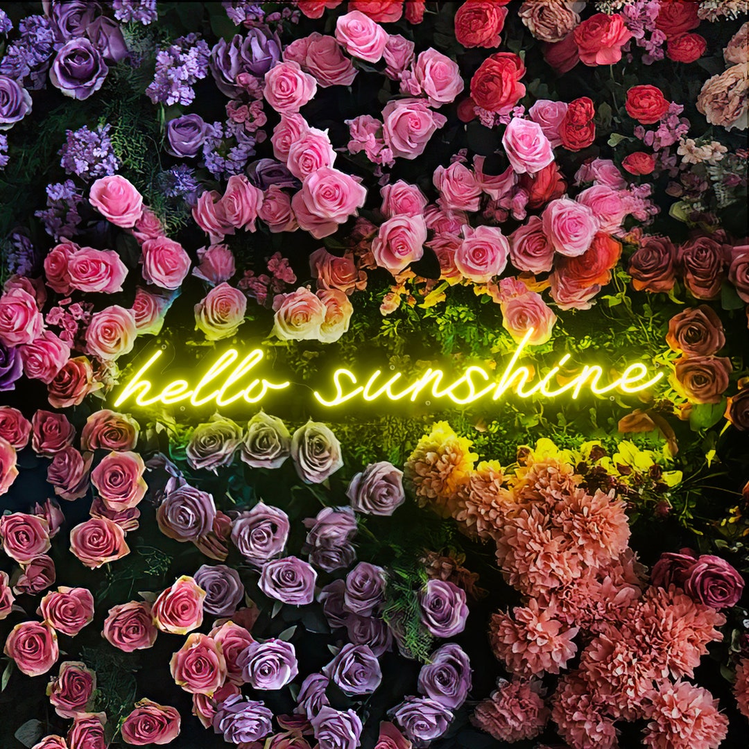 Hello Sunshine Neon Sign Custom LED Acrylic Neon Sign Lamp Art Room ...