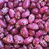 Oca Seed Tubers / Root for Planting - Uqa, New Zealand Yam - Organic ...