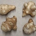 Oca Seed Tubers / Root for Planting - Uqa, New Zealand Yam - Organic ...