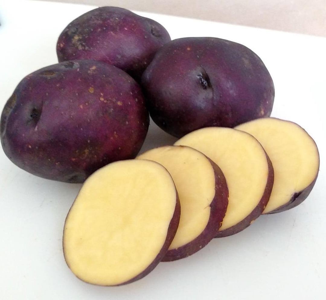 Harvest Moon Seed Potatoes - for Planting 2026 - Organic (solanum ...