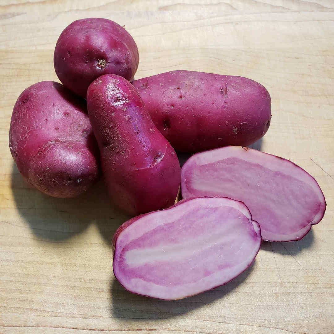 Terra Rosa Seed Potatoes (red Flesh) - 2024 Crop - Organic (solanum ...