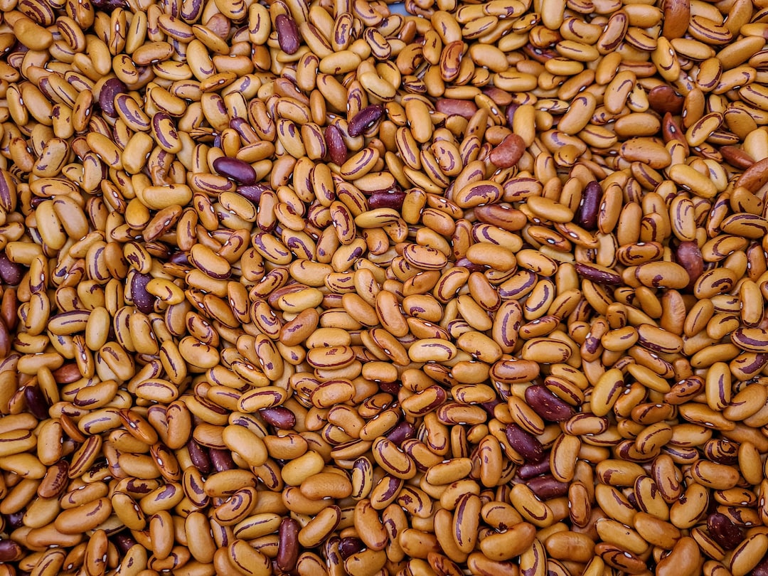 Tiger's Eye Bean 20 Seeds AKA Pepa De Zapallo - Etsy