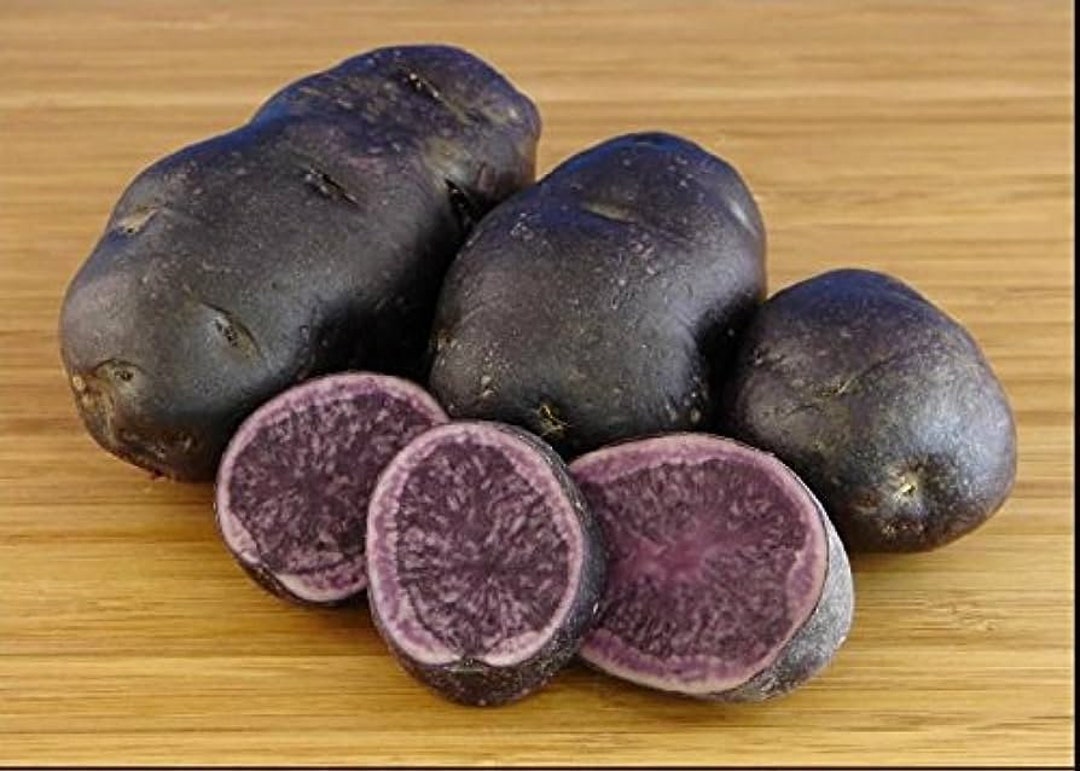 All Blue Seed Potatoes - for Planting 2026 - Organic (solanum Tuberosum ...