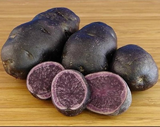 Organic Purple Yam/ Dioscorea Alata /ube or Greater Yam ,cooked only ...