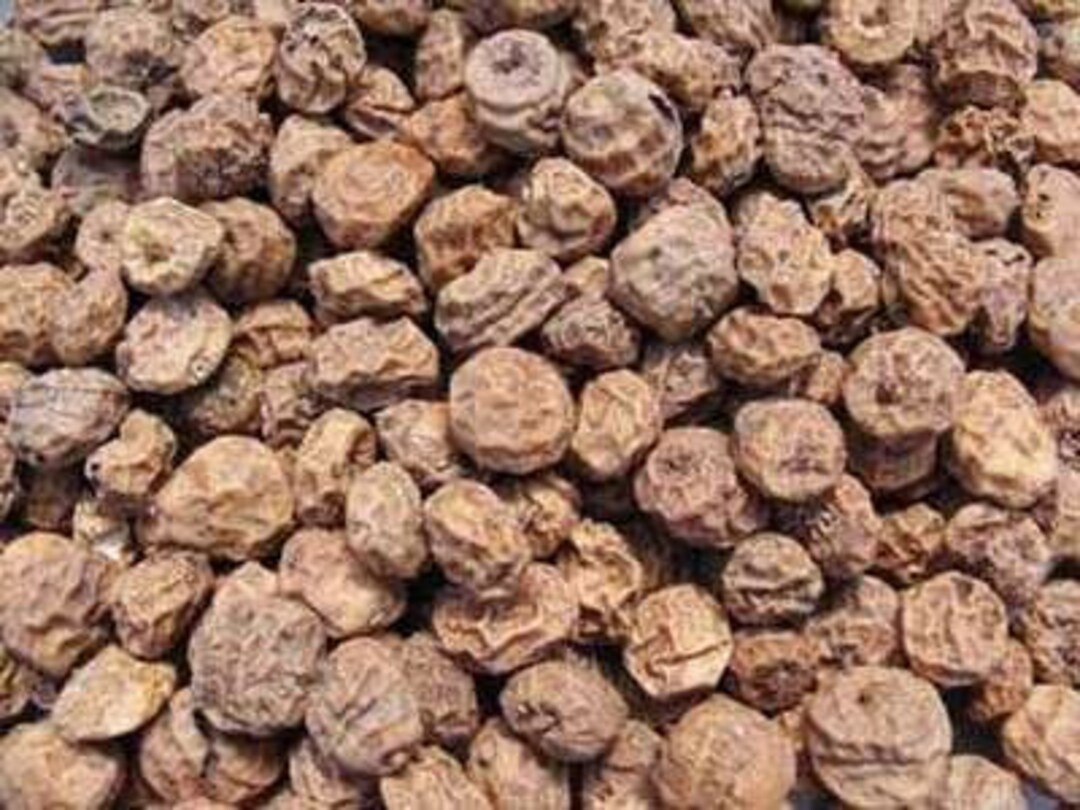 Chufa Seed Tubers for Planting - AKA Tiger Nut, Atadwe, Nutsedge ...