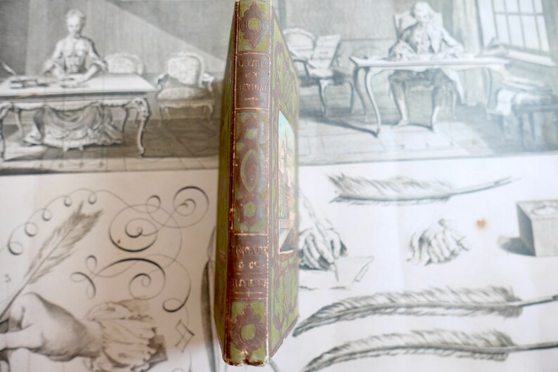 French Cartonnage Decorative Gilt Book 19th Century - Etsy