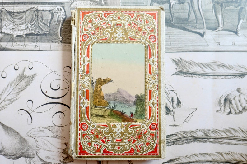 French Cartonnage Decorative Gilt Book 19th Century - Etsy