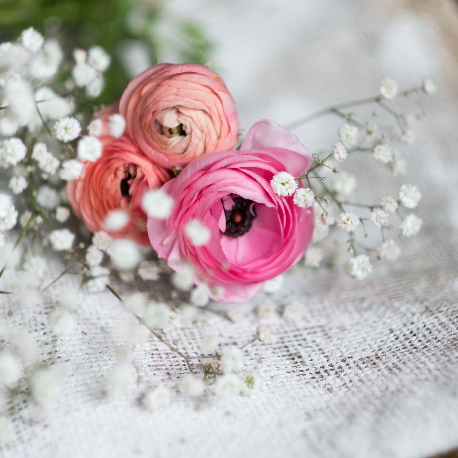 White Backdrop for Photography ML109 White Jute Backdrop - Etsy