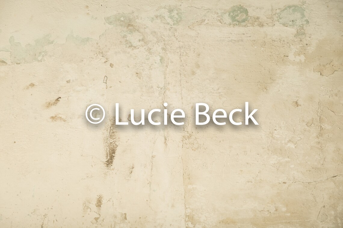 Beige Wall Backdrop ML794 Vinyl Backdrop Wall Backdrop | Etsy