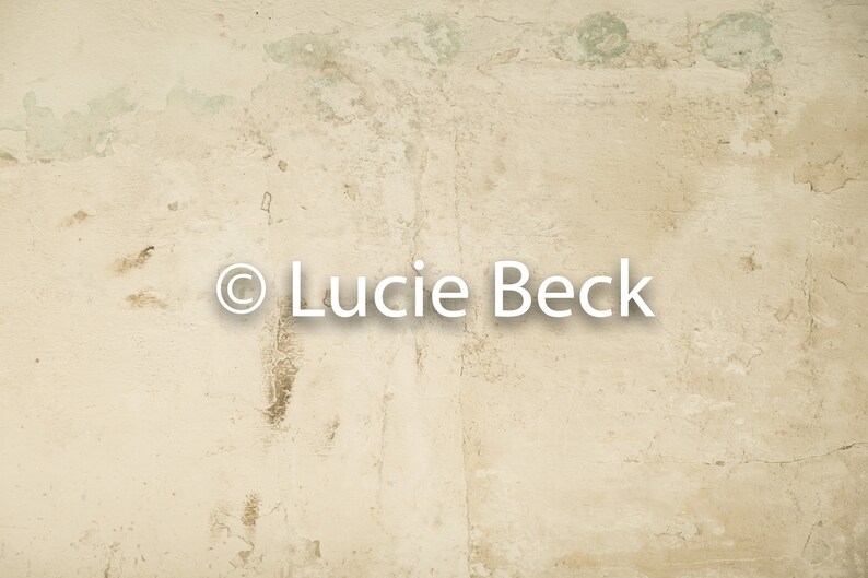 Beige Wall Backdrop ML794 Vinyl Backdrop Wall Backdrop | Etsy