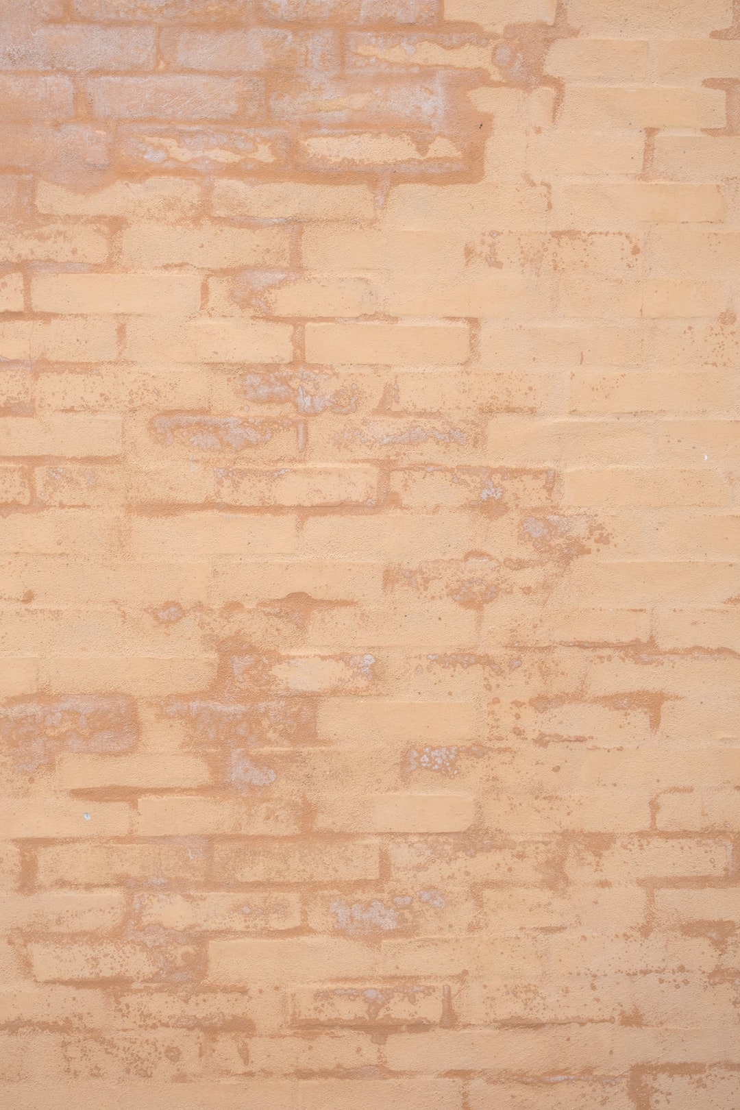 Peach Bricks Backdrop, ML816, Digital Backdrop, Wall Backdrop, Stone ...