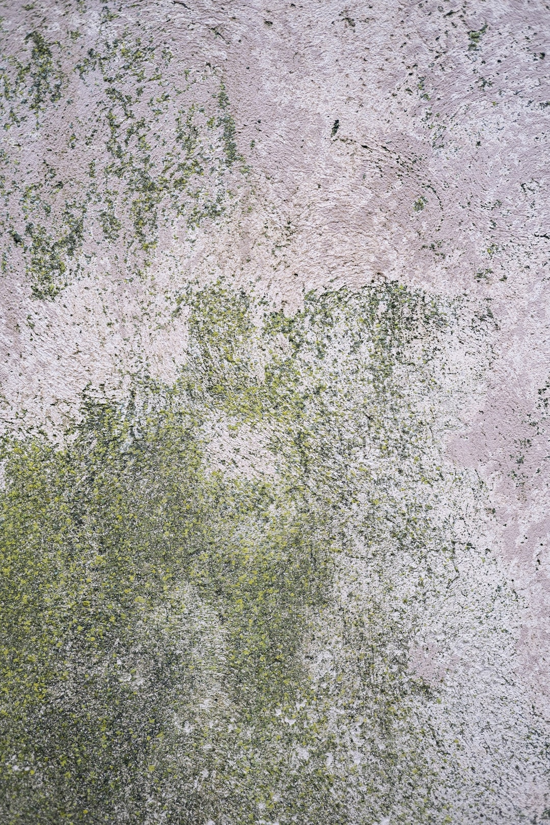 Digital Download, ML631, Food Styling Backdrops, Vinyl Backdrop ...