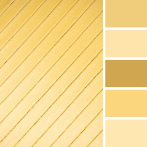 Yellow Planks Backdrop, ML800, Vinyl Backdrop, Wooden Backdrop ...