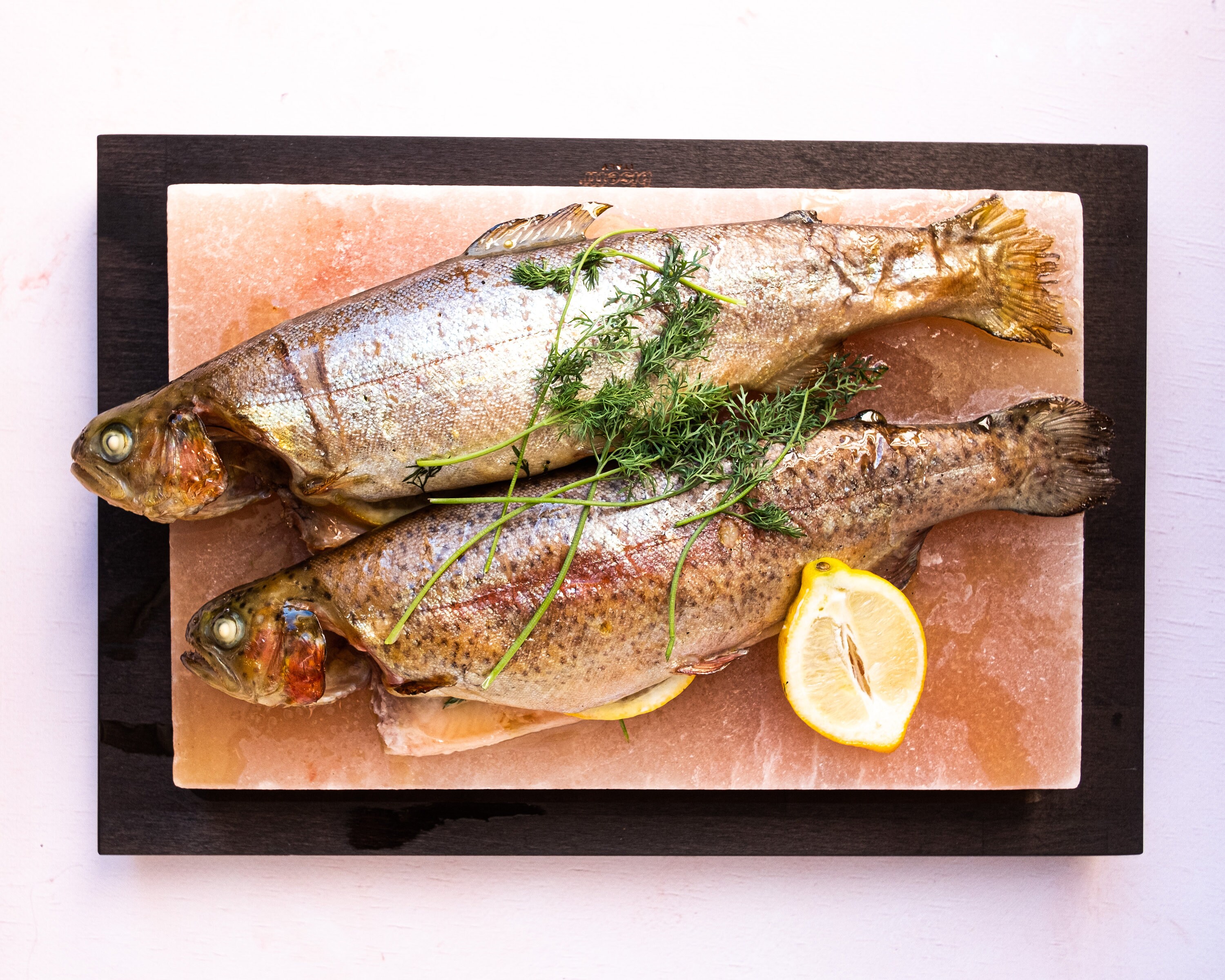 Backdrop Salmon Color, ML168, Backdrop Food Styling, Backdrops for ...