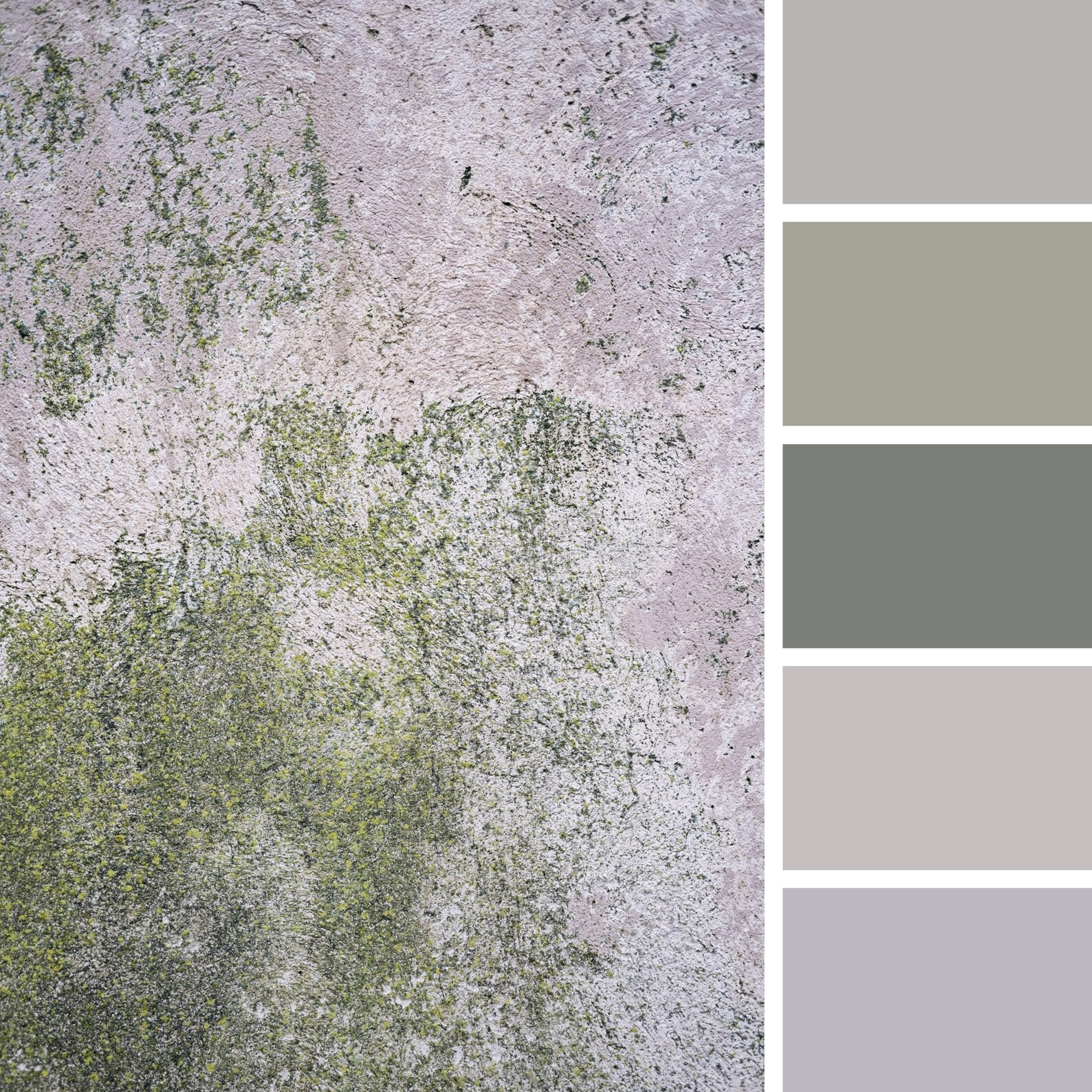 Digital Download, ML631, Food Styling Backdrops, Vinyl Backdrop ...