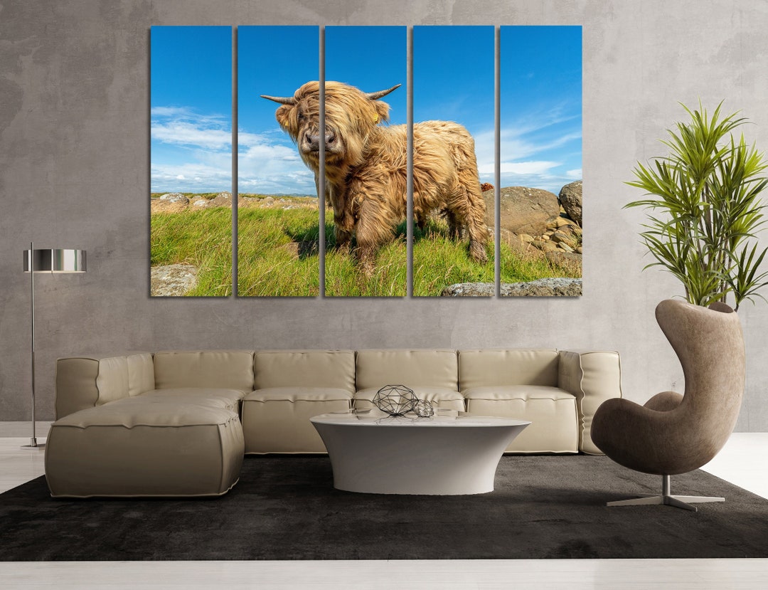 Shaggy Scottish Cow Cute Calf Canvas Print Scottish Buffalo Animal Art ...