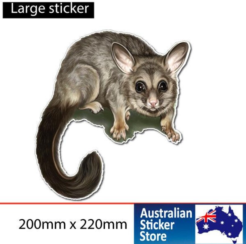 Cute Possum Sticker for Vehicle, Motorhome, Truck - Etsy