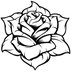 Rose Decal Sticker - Etsy