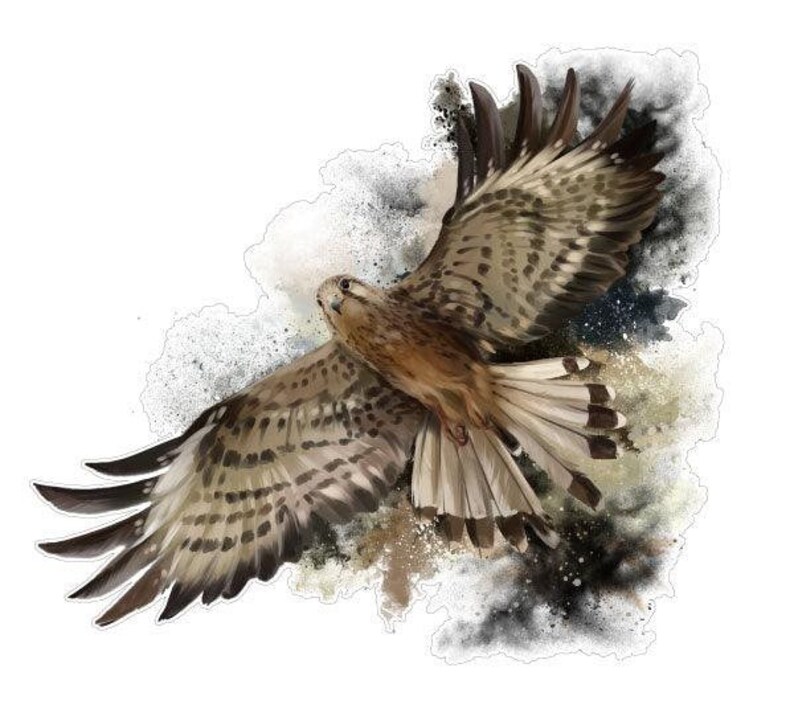 Flying Falcon Sticker Decal RV Motorhome, 4X4, Vehicle, - Etsy
