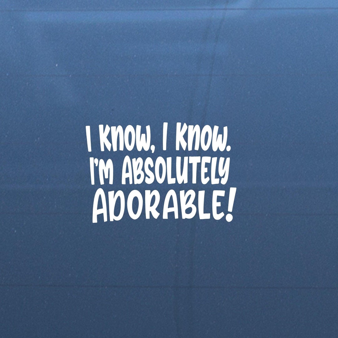 Funny Car Sticker Baby on Board Car Sticker Decal, White for Window - Etsy
