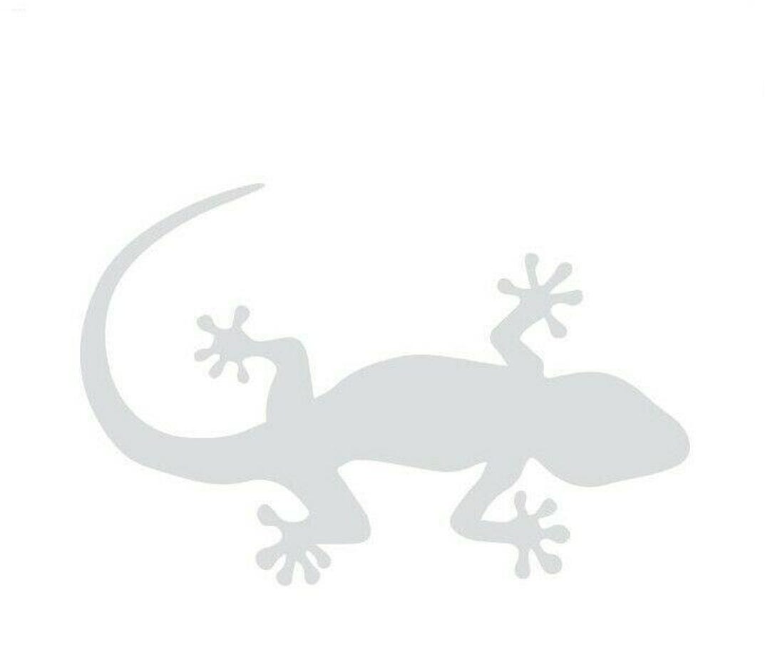 Frosted Etched Look -gecko Stickers for Glass Door or Window Safety ...