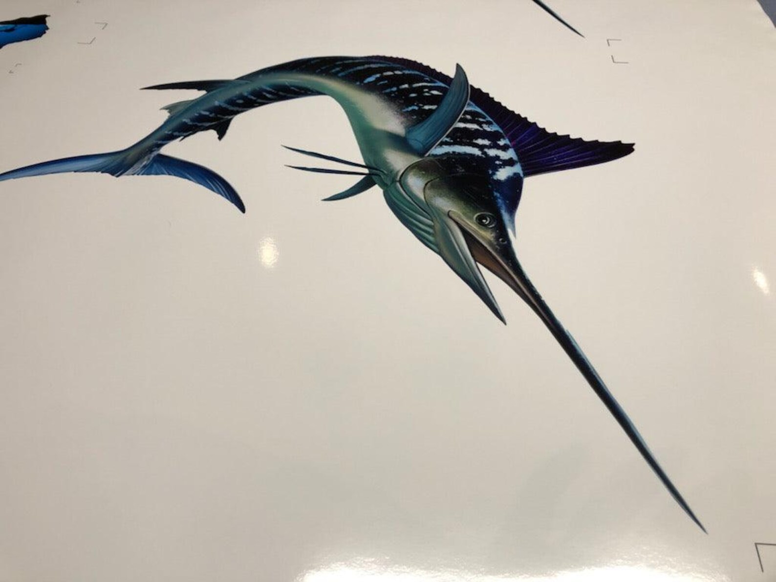 Marlin Fishing Sticker Decal for Boat , Motorhome 4x4 Camper Vehicle - Etsy