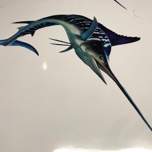 Marlin Fishing Sticker Decal for Boat , Motorhome 4x4 Camper Vehicle - Etsy