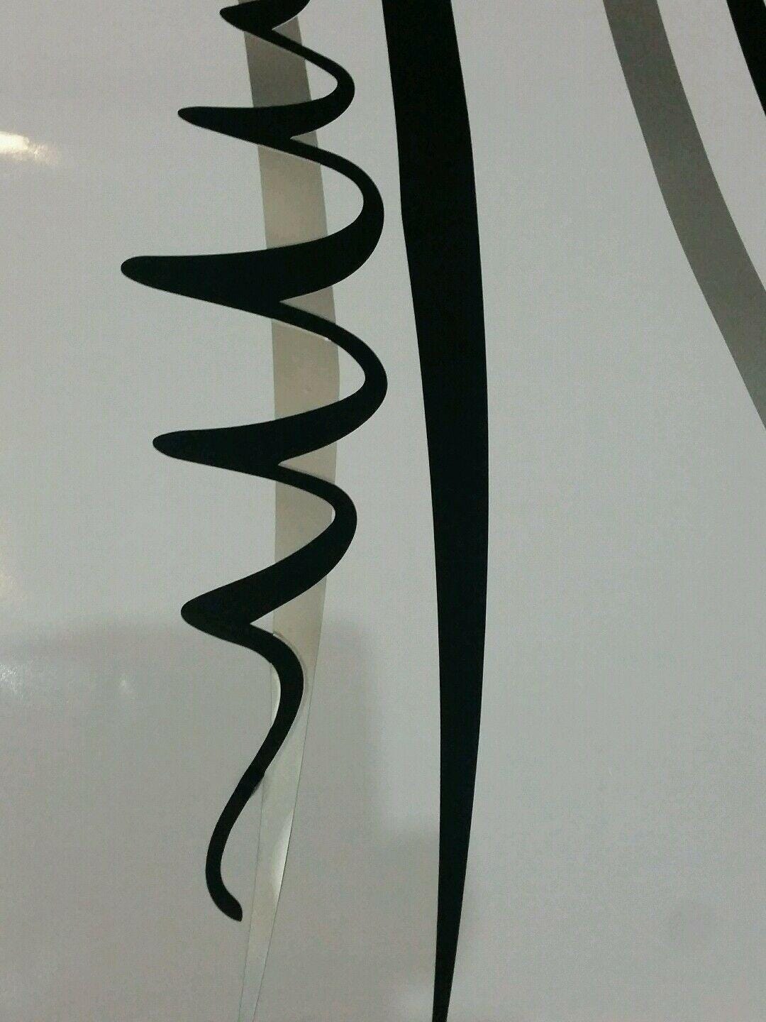 Vehicle-stripes,rv-motorhome,caravanboat-stripe, in Black and Lime ...