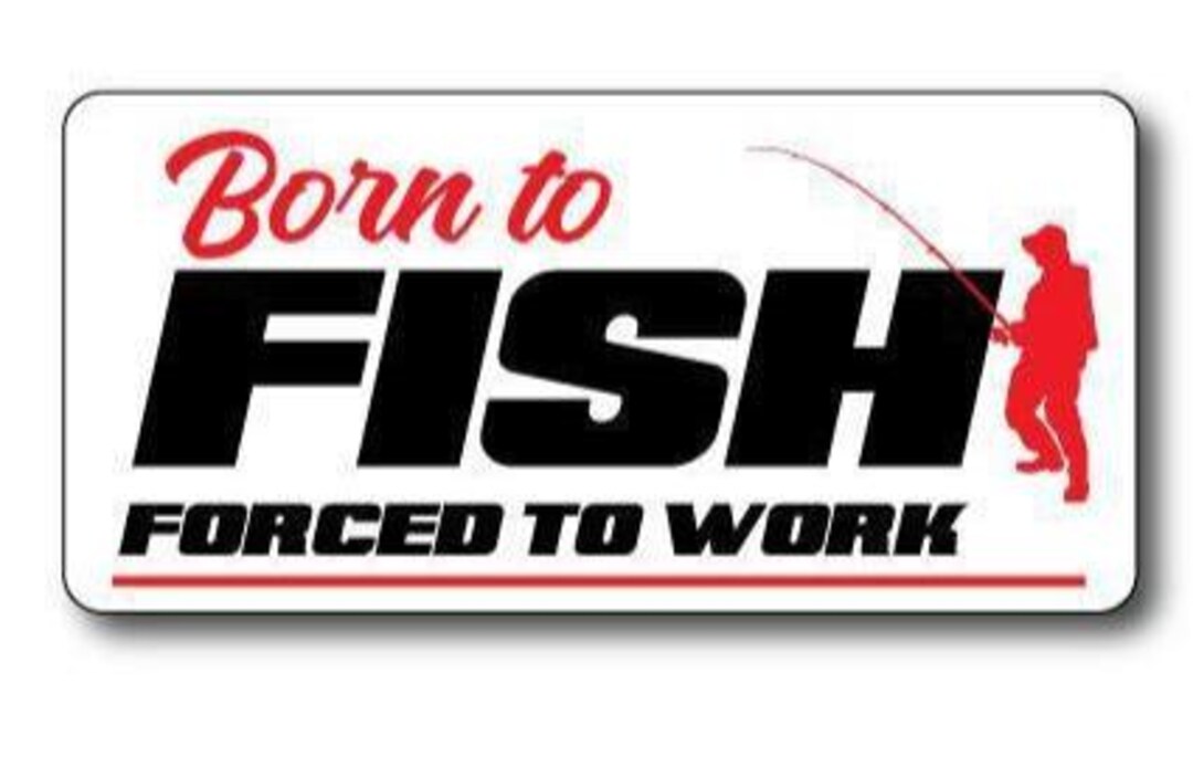 Funny Born to Fish Bumper Sticker Fishing Car Sticker - Etsy