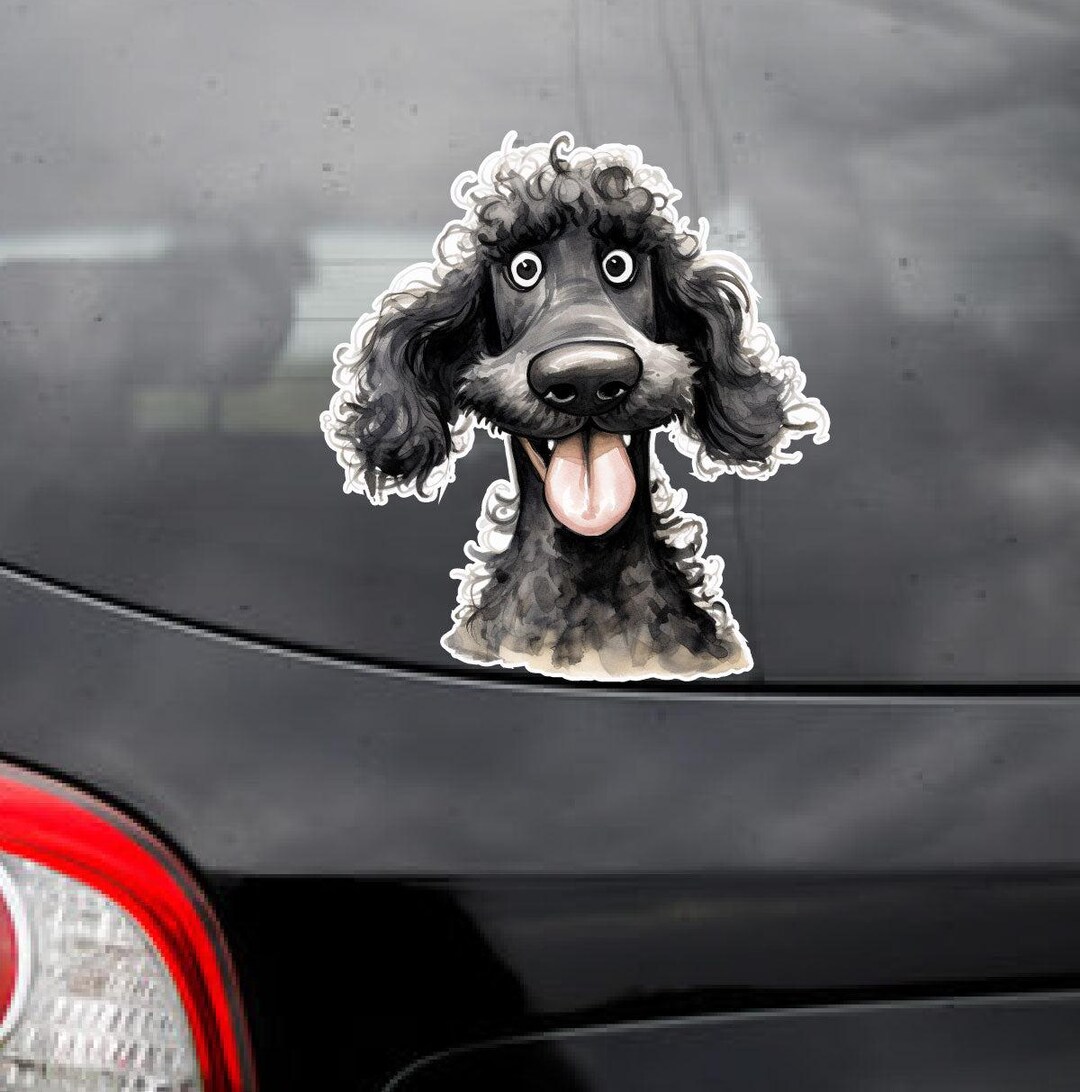 Poodle Car Sticker Decal - Peeking Poodle Vinyl Window Dog on Board - Etsy