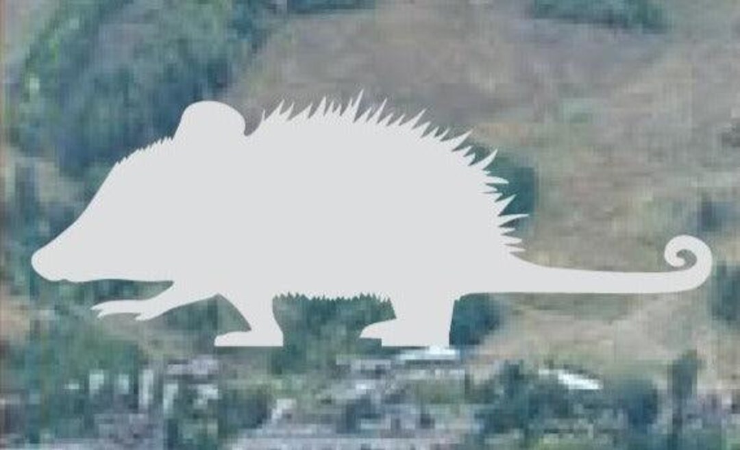 Possum Frosted Window or Glass Sticker - Etsy