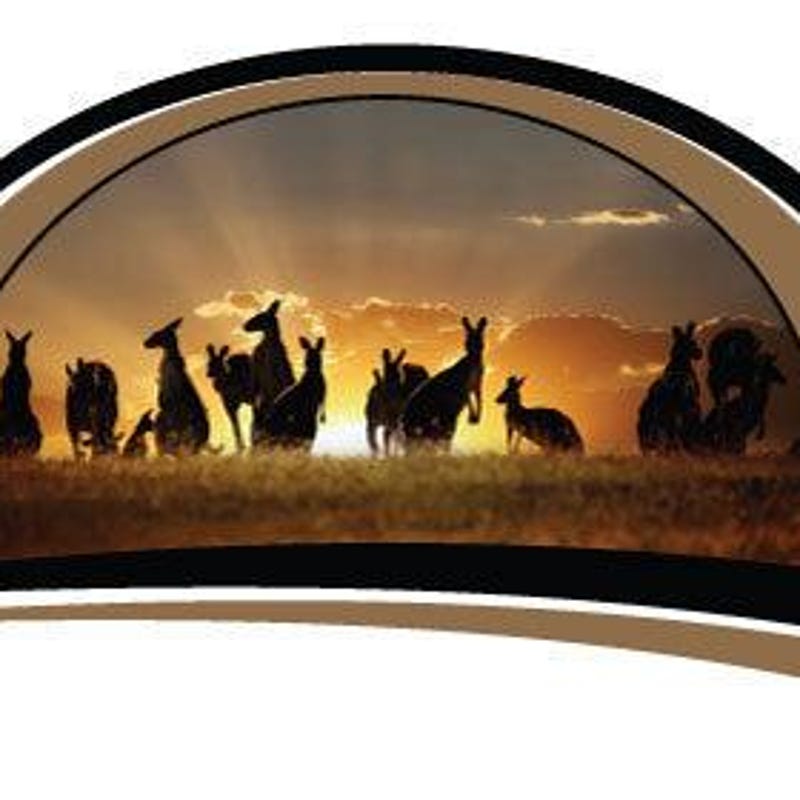 Large Roof Car Decals - Etsy Australia