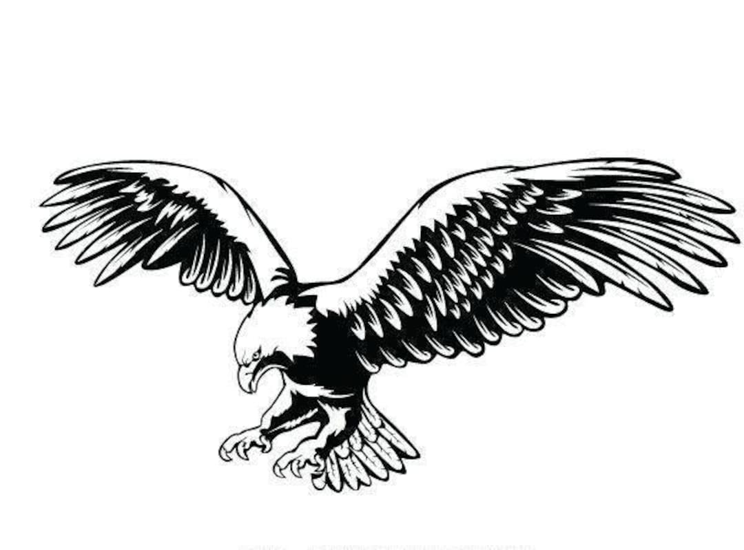 Large Eagle Sticker Decal for Boat, Car , Camper, Rv Motorhome 570mm - Etsy