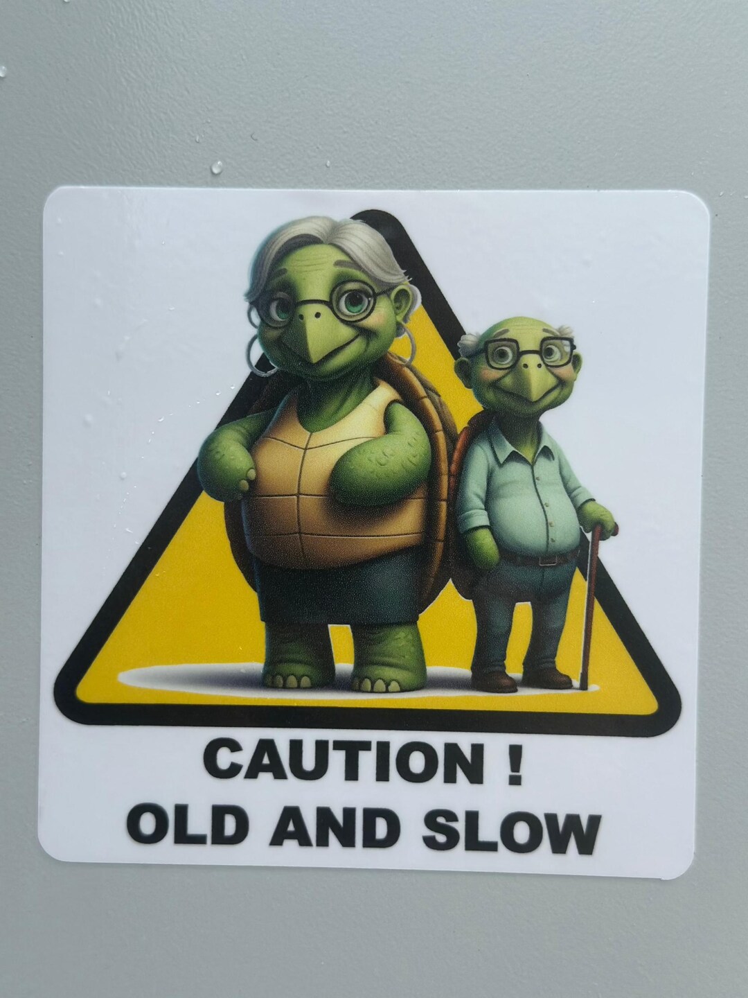 Cute Car Sticker Couple of Old Turtles Sticker Slow Vehicle - Etsy