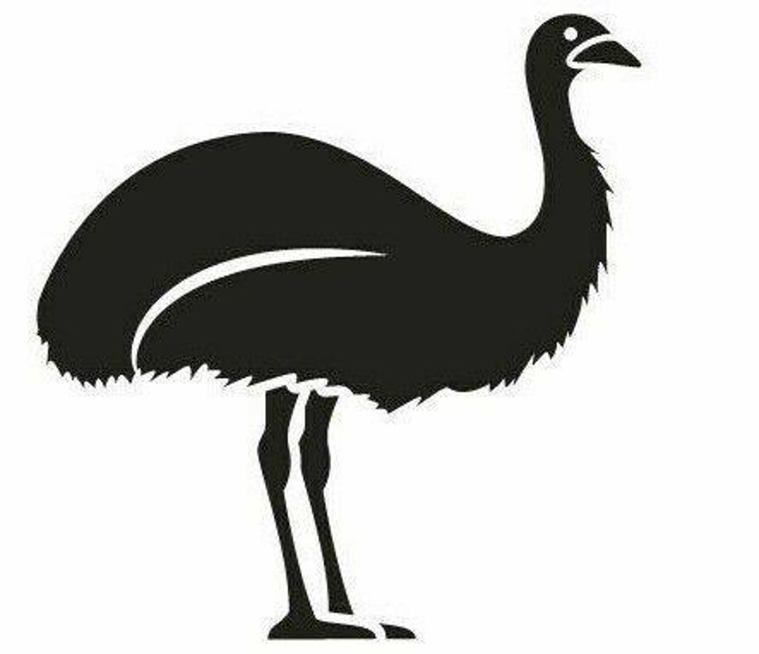 Emu Australia Sticker Decal Rv Motorhome, 4X4, Boat , Caravan - Etsy