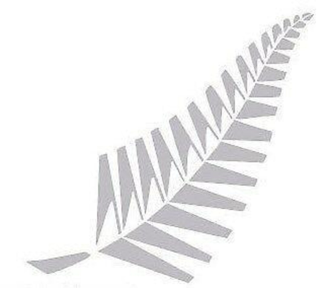 Nz Kiwi Silver Fern Sticker Decal for Car Ute Boat 4X4 Campervan 150mm ...
