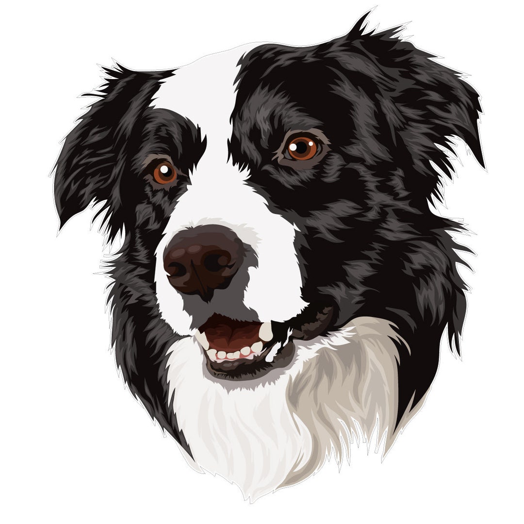 Border Collie Car Sticker Decal Window Sticker Vehicle Sticker - Etsy