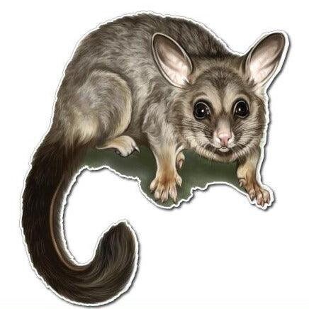 Cute Possum Sticker for Vehicle, Motorhome, Truck - Etsy