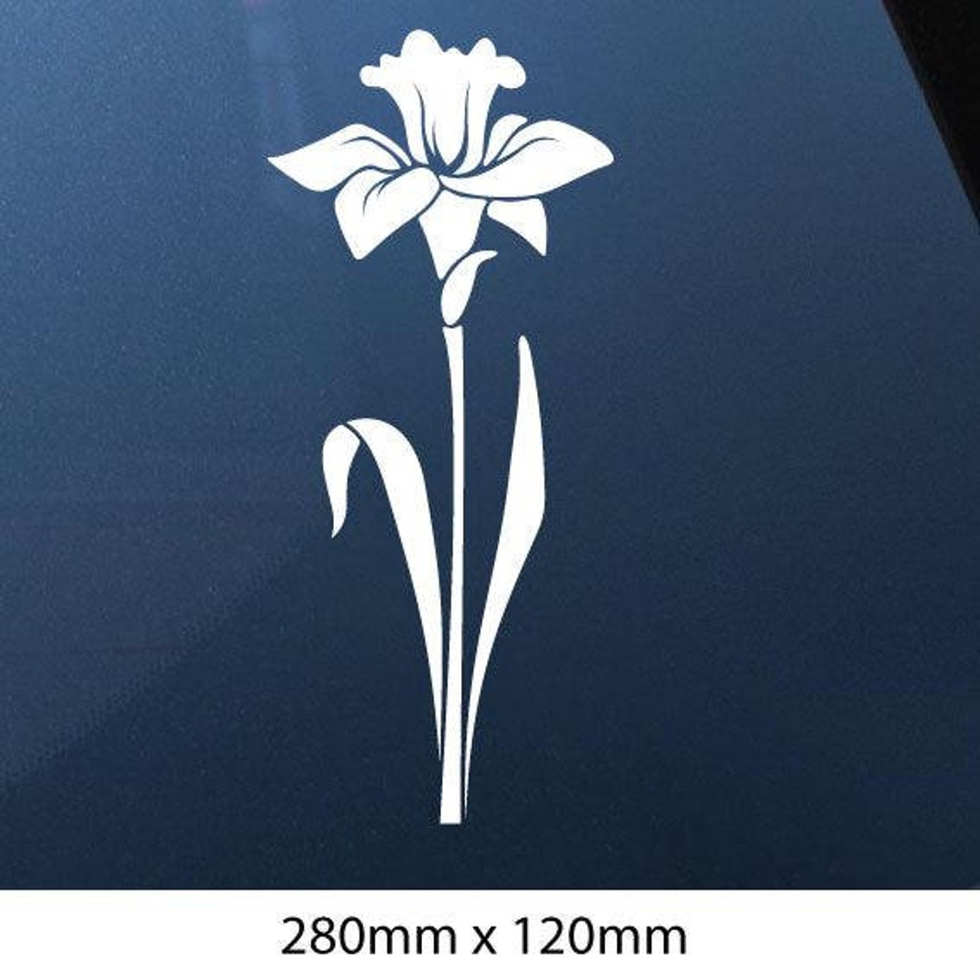 28cm Flower Sticker Decal for Car , Window, Wall, Girly Sticker Flower ...