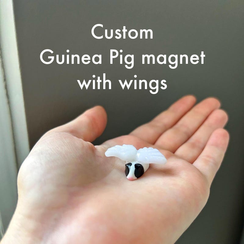 Pig Magnets - Etsy