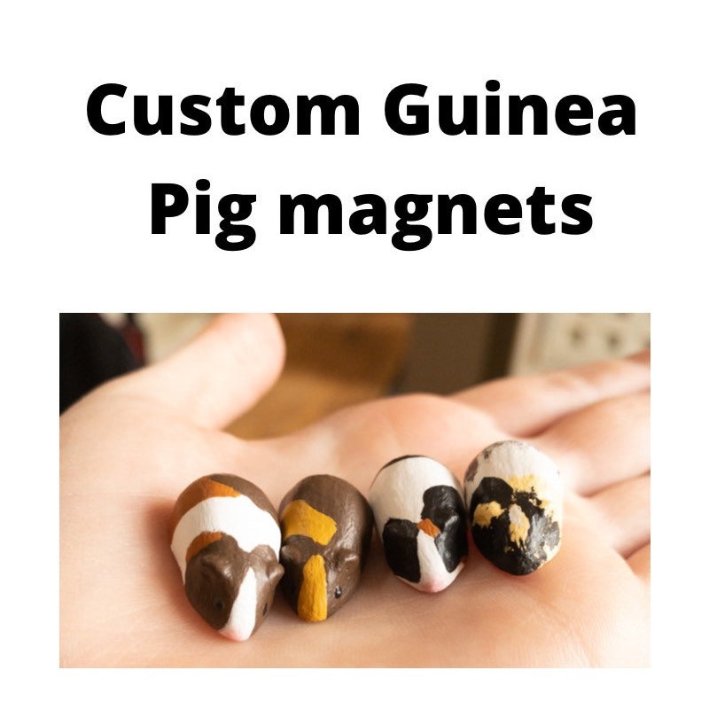 Pig Magnets - Etsy