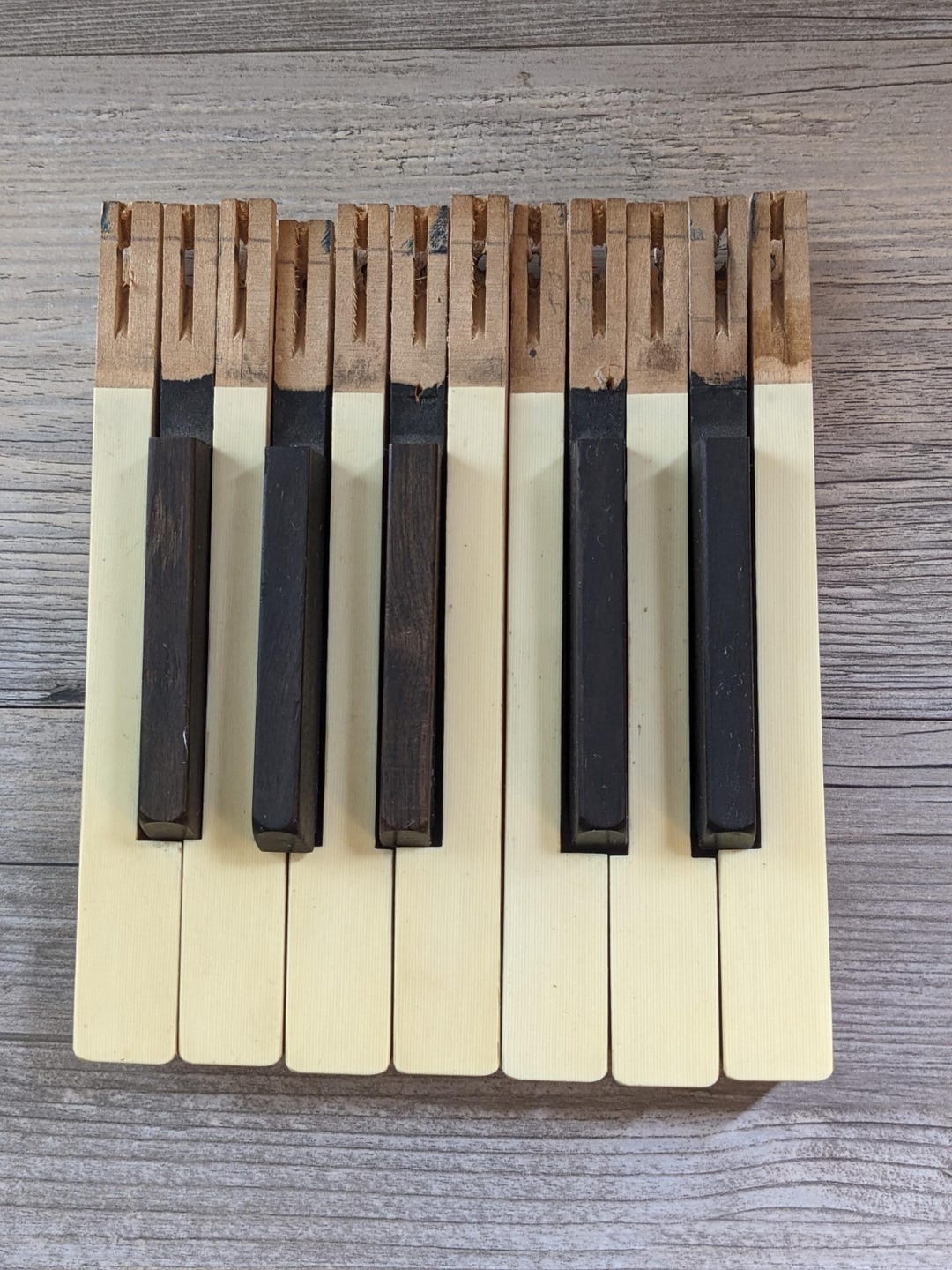 Group of 49 Vintage Keys From an Estey Chaplain Field Pump Organ - Etsy