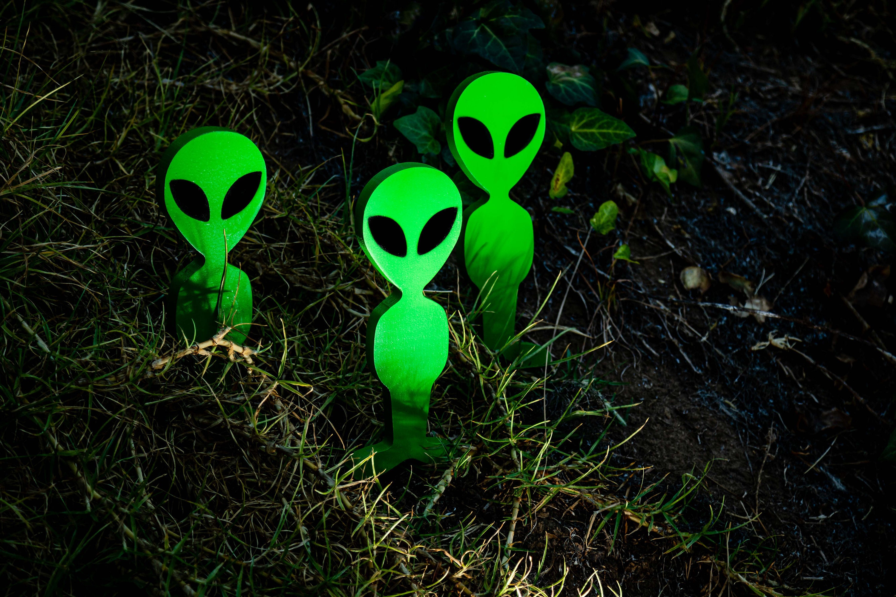 Alien UFO Lawn Gnome Decoration Garden Grass Front Yard | Etsy