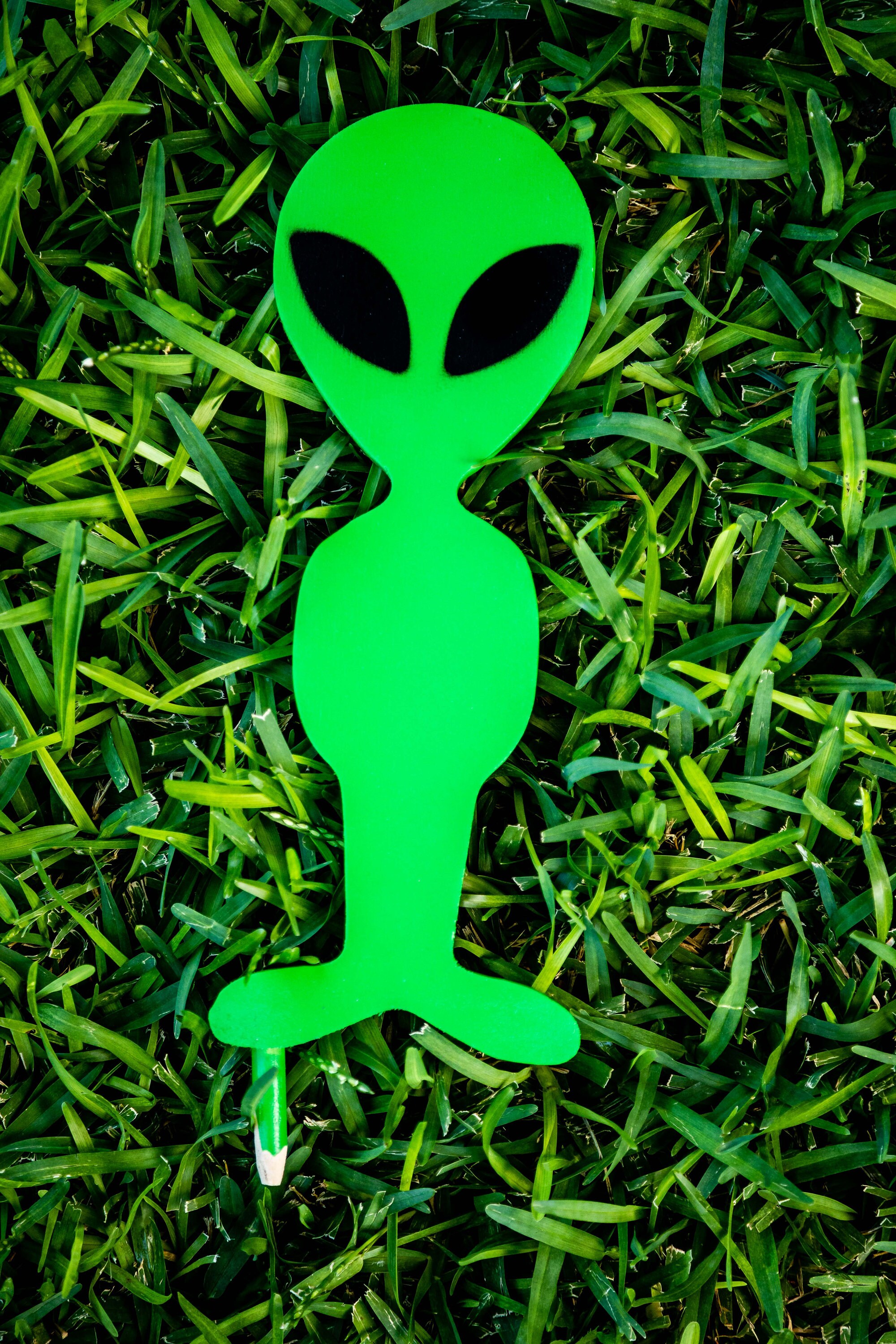 Alien UFO Lawn Gnome Decoration Garden Grass Front Yard | Etsy