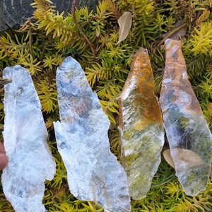 Golden Phantom Selenite Blades - Etsy